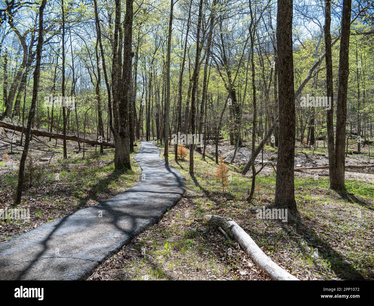 Hickory Ridge Trail at Powder Valley Conservation Nature Center Stock ...