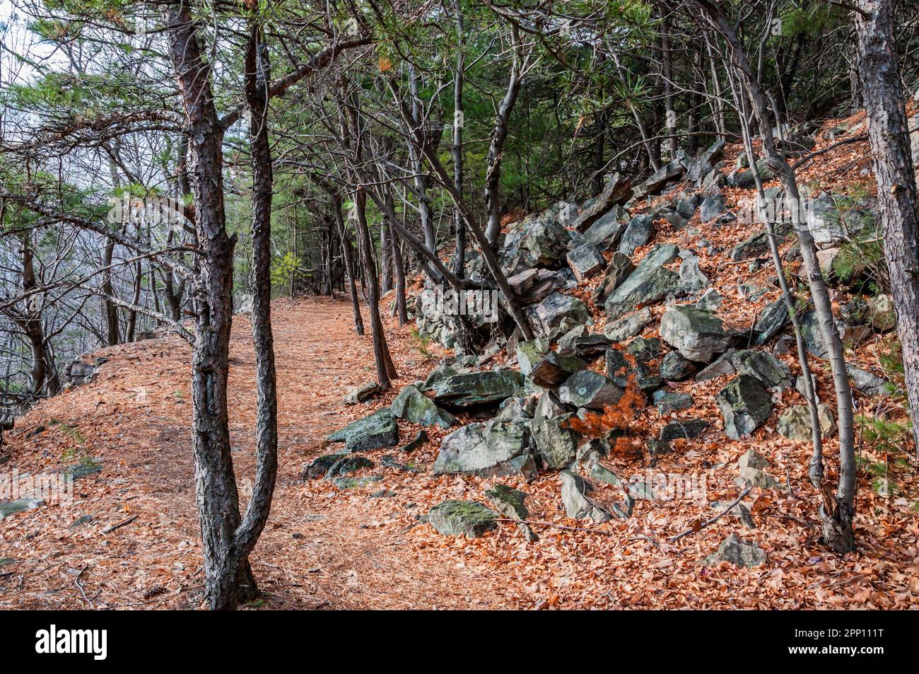 Boulders along the Thousand Steps Trail, Pennsylvania USA, Pennsylvania ...