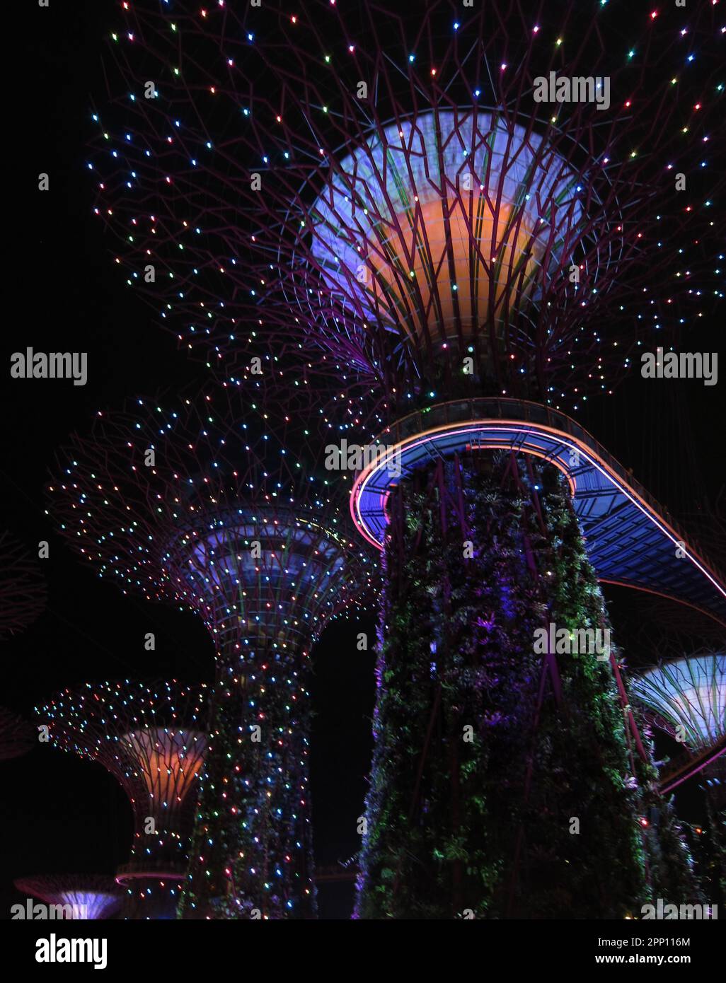 A low angle of majestic Supergrove trees in Singapore Gardens by the ...