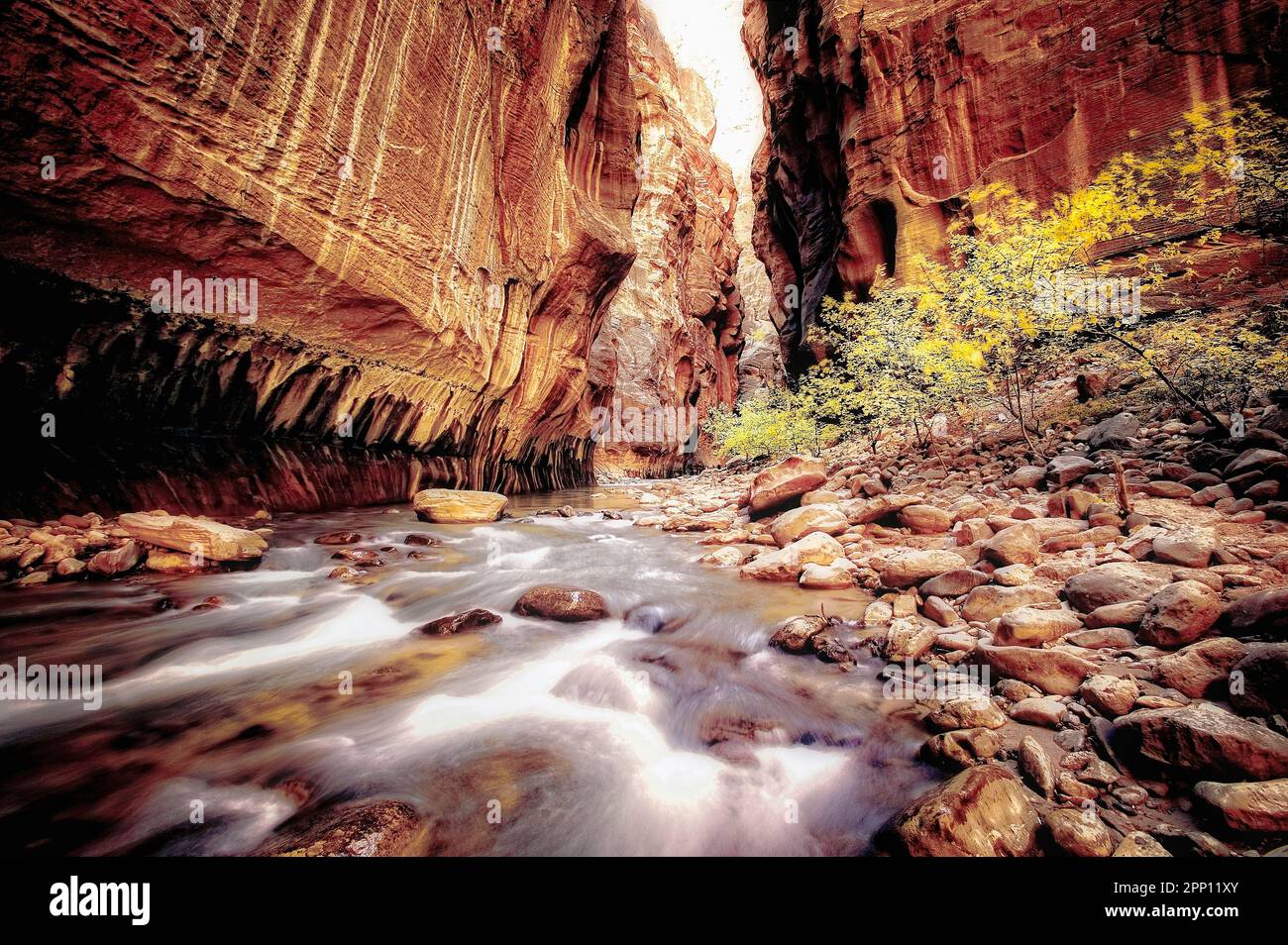 The North Fork of the Virgin River which created the deep Canyon and ...