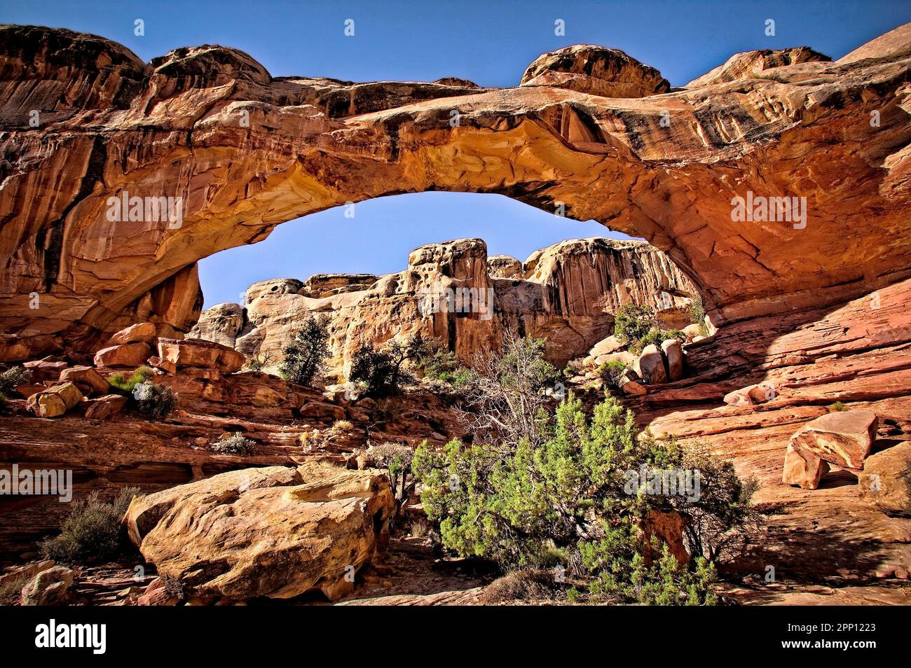 The Hickman Bridge in Capital Reef National Park, Utah Stock Photo - Alamy