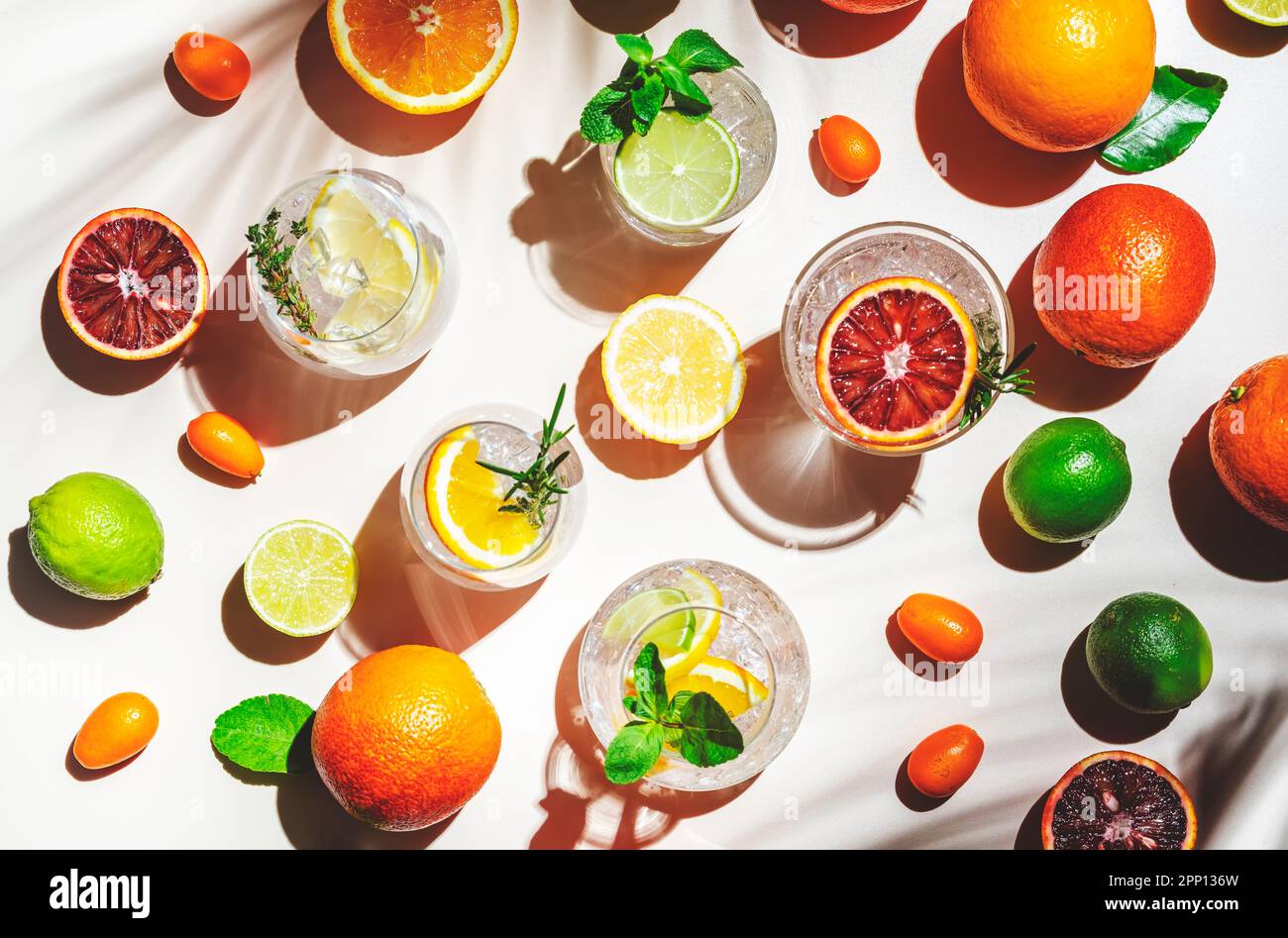 Gin tonic citrus and herb cocktails set, top view. Assortment of summer ...