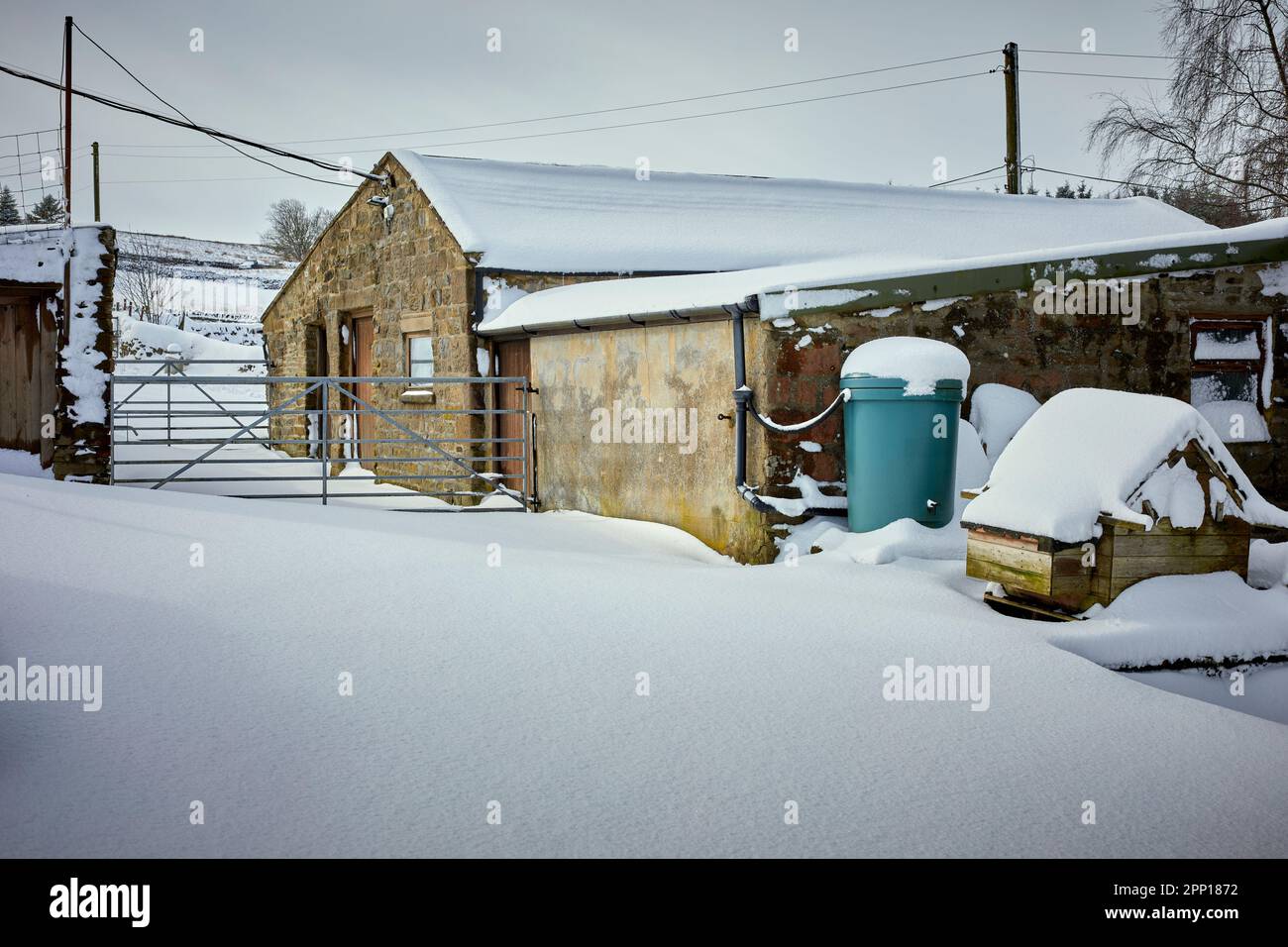 Snow covers these smallholding buildings after heavy overnight snow on ...