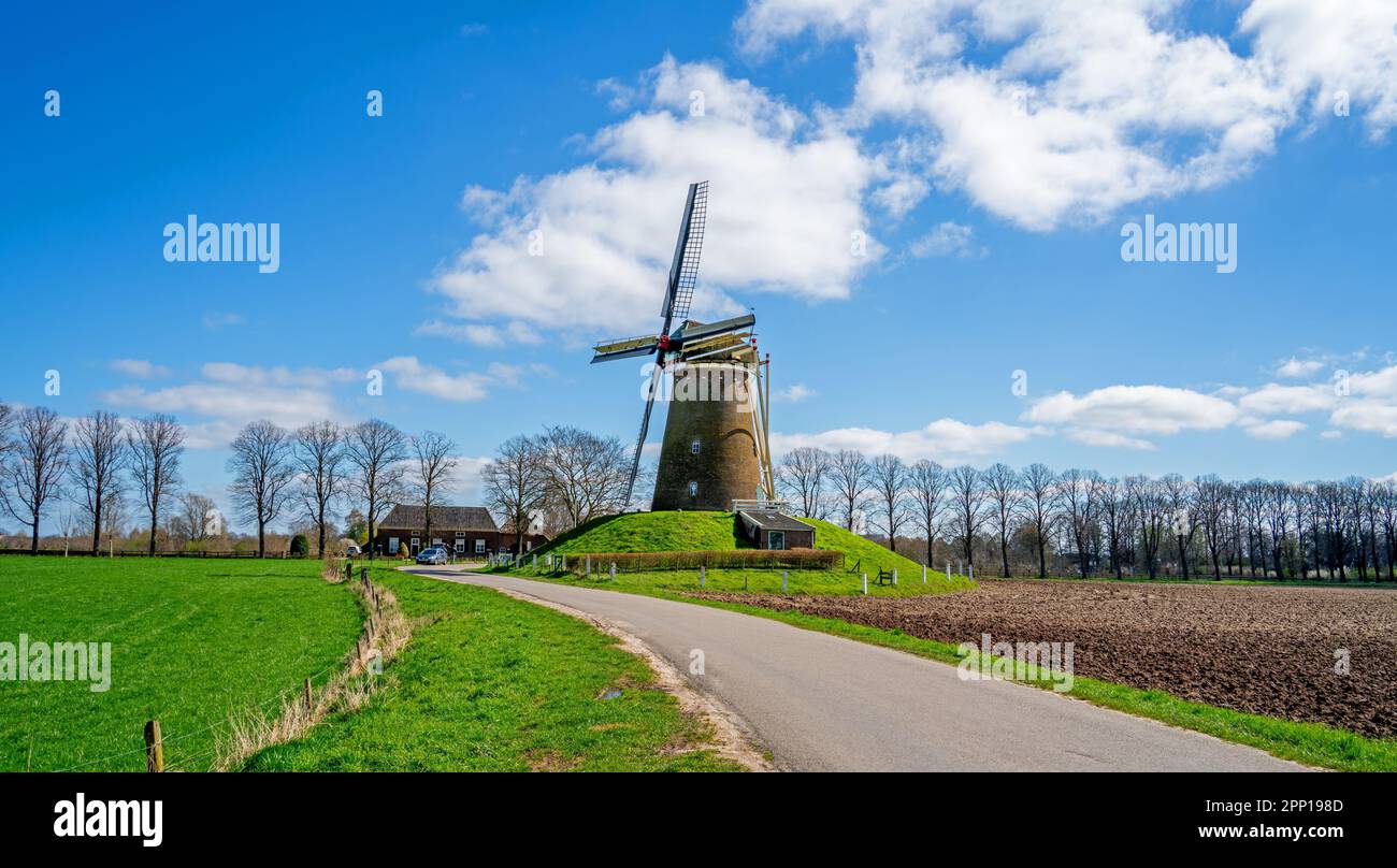 Rural landscape with windmill near Bronckhorst, Netherlands Stock Photo ...
