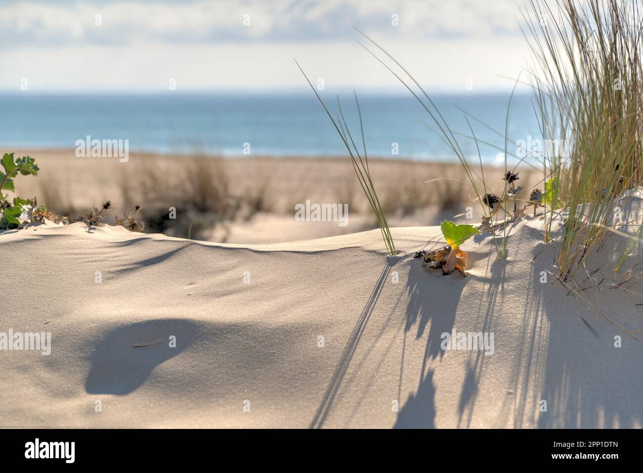 Playa de dunas de bolonia hi-res stock photography and images - Alamy