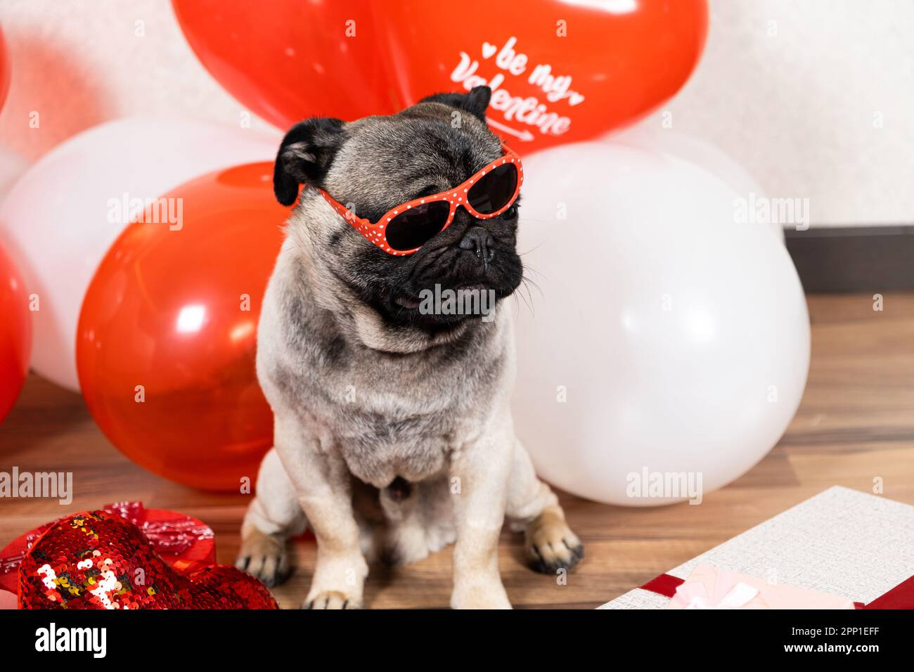 Cool funny pug in red glasses among the balls on Valentine's Day Stock ...