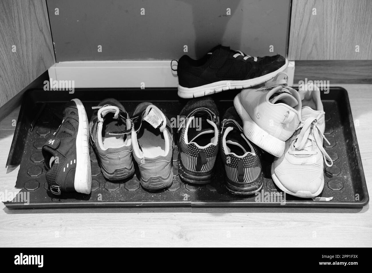 A selection of running shoes in varying colors, sizes and textures ...