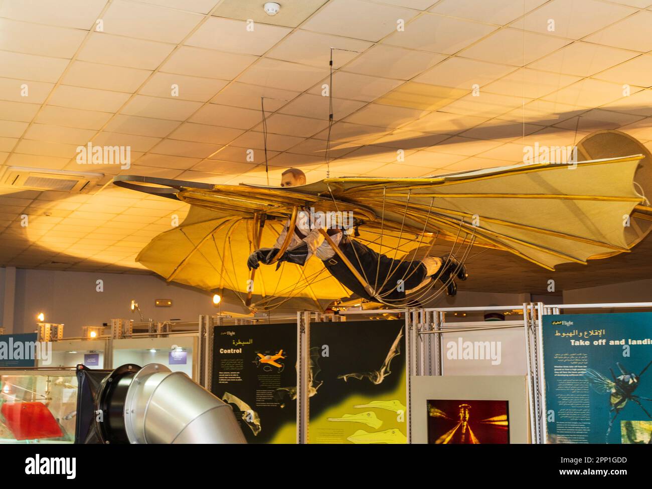 Fly exhibits hi-res stock photography and images - Alamy