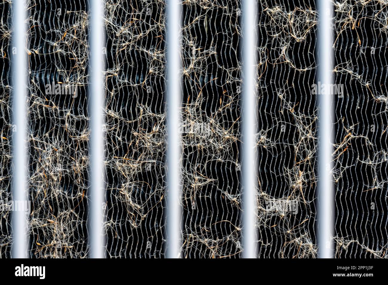 Macro of seed pods and dust collecting on the heat exchanger coils of ...