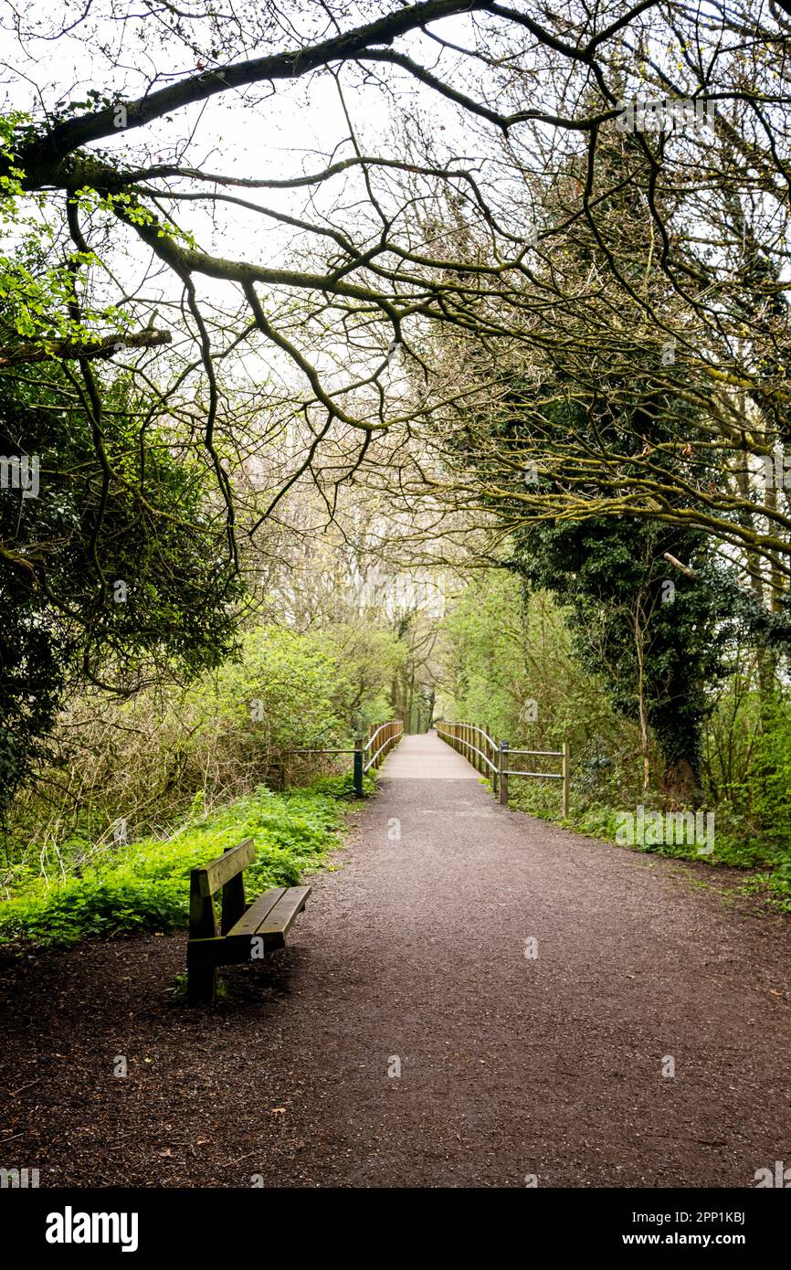 Former railway track now public footpath with bench in Cheshire UK ...