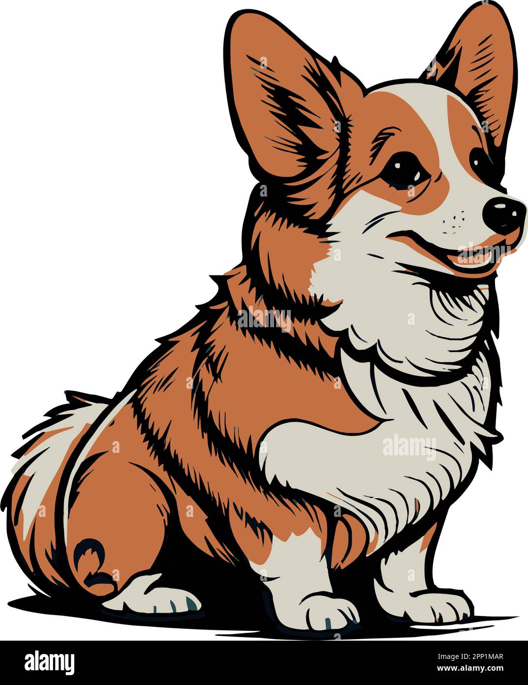 Realistic dog breed Corgi, on a white background - Vector illustration ...