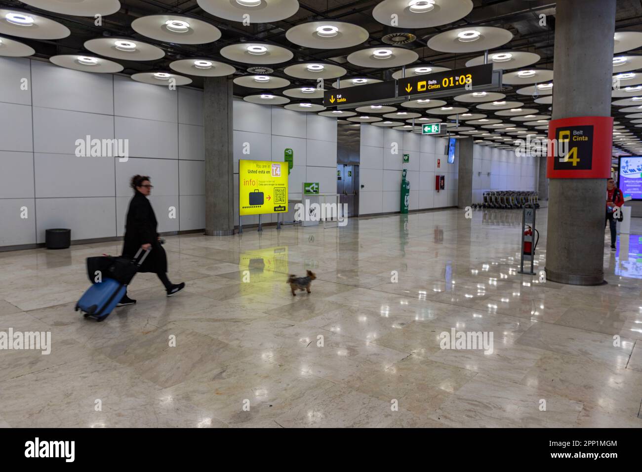 Passenger with dog leaving hi-res stock photography and images - Alamy