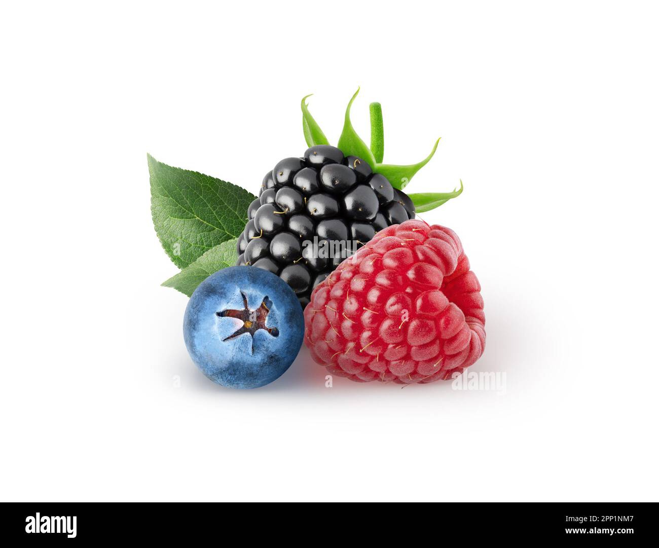 Isolated beries. Blueberry, blackberry, raspberry fruits isolated on ...