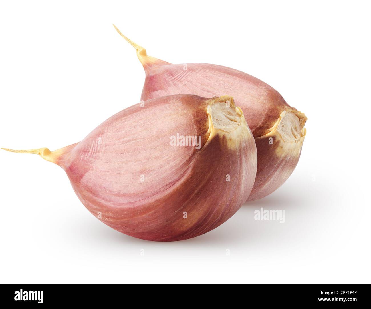 Isolated garlic. Two garlic segments isolated on white background with ...