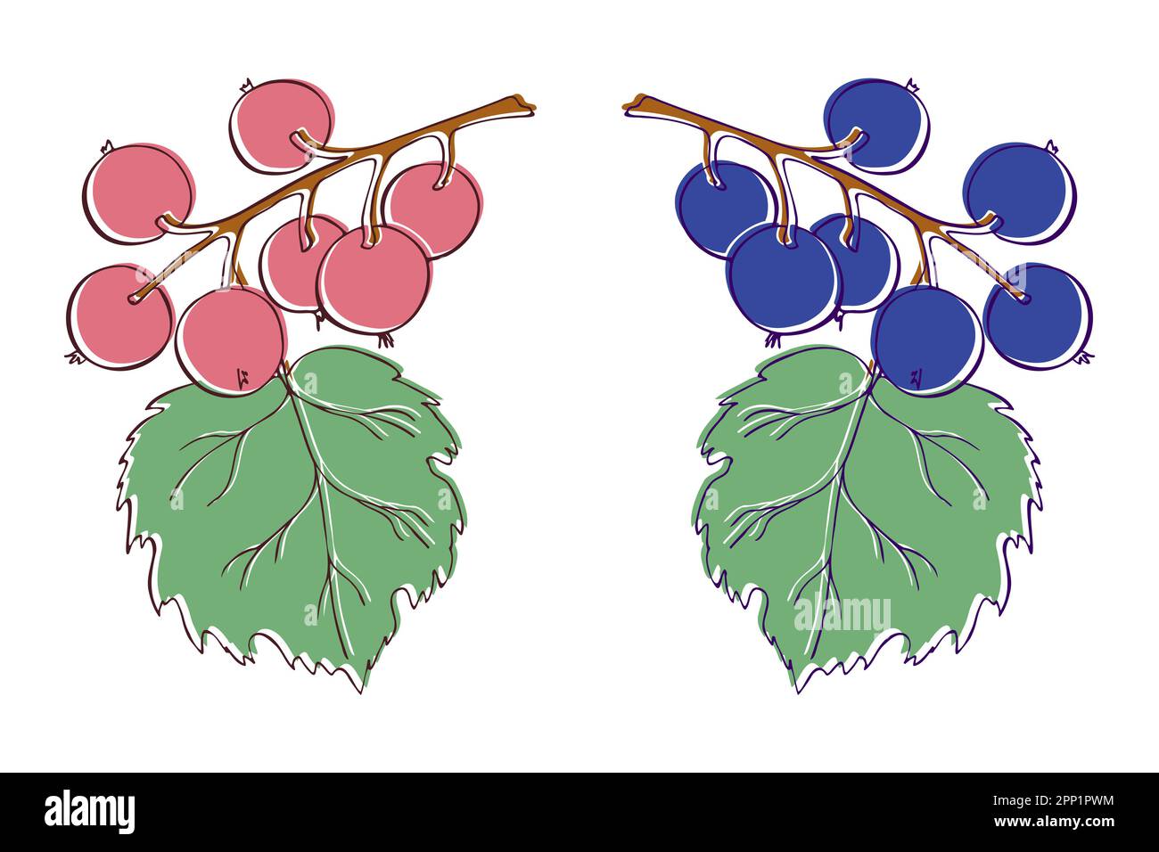 Set Currant branch red and black with berries, hand drawn doodle ...