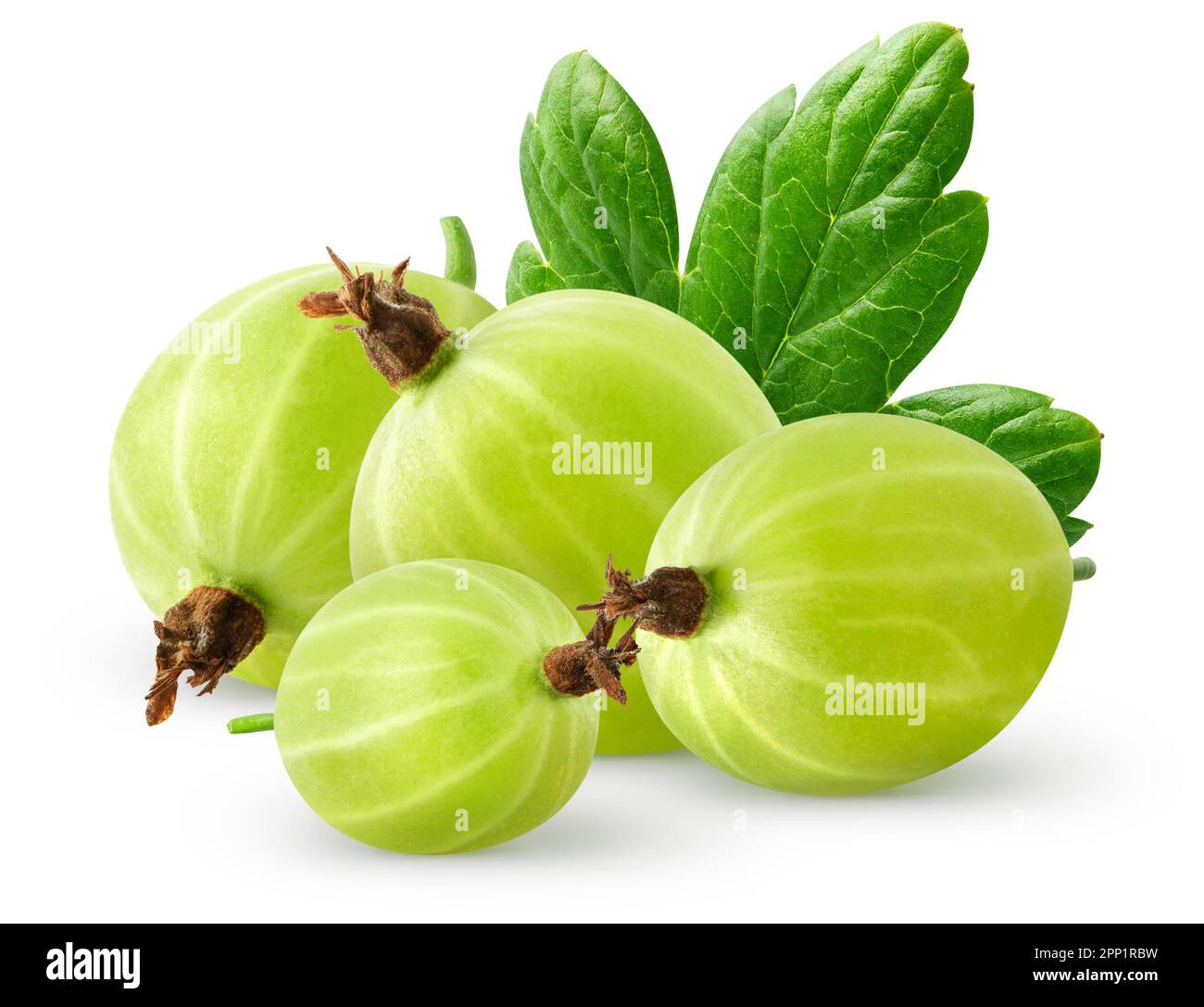 Isolatec gooseberries. Bunch of green gooseberries isolated on white ...