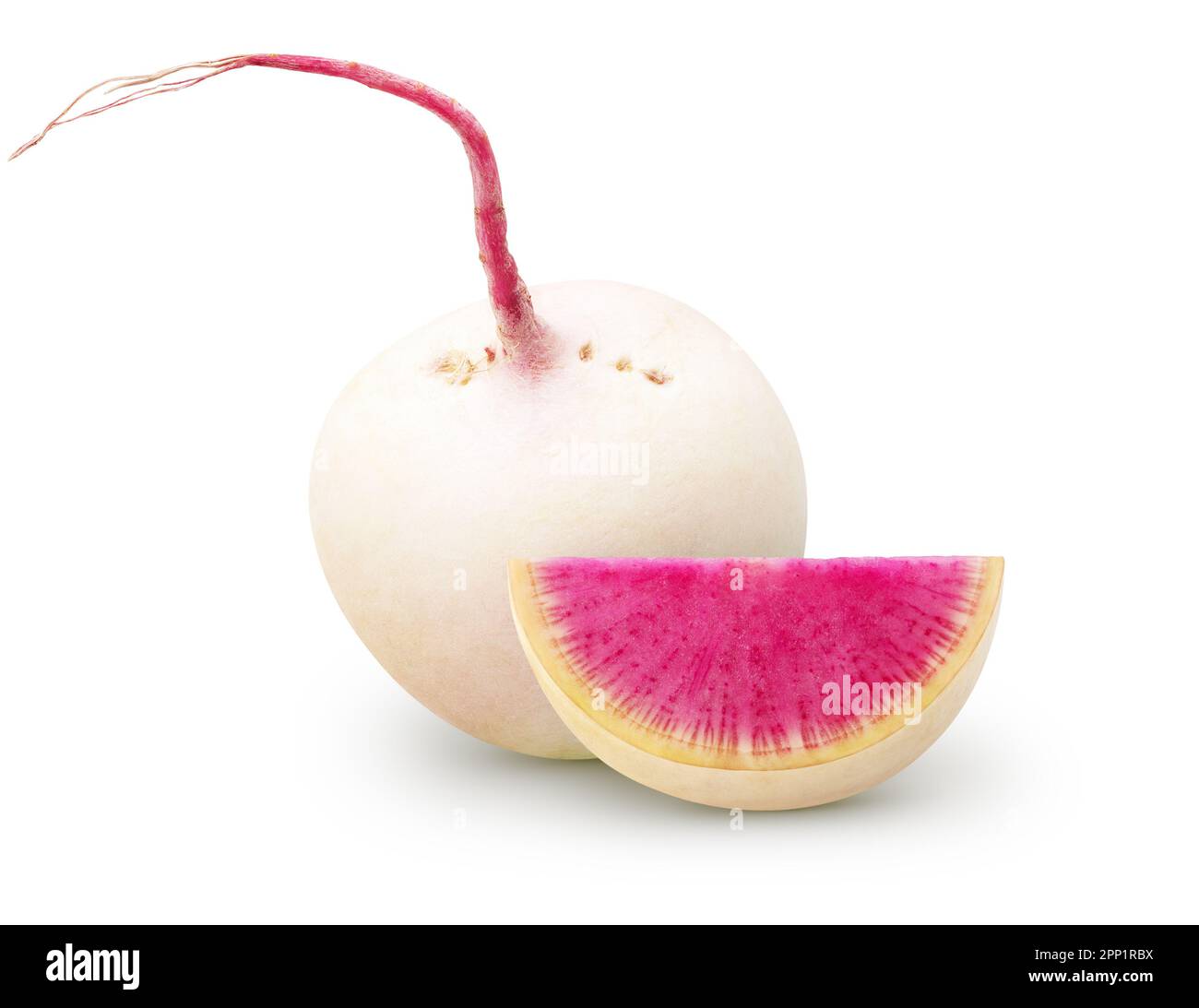 Isolated watermelon radishes. Whole raw watermelon radish with a piece ...