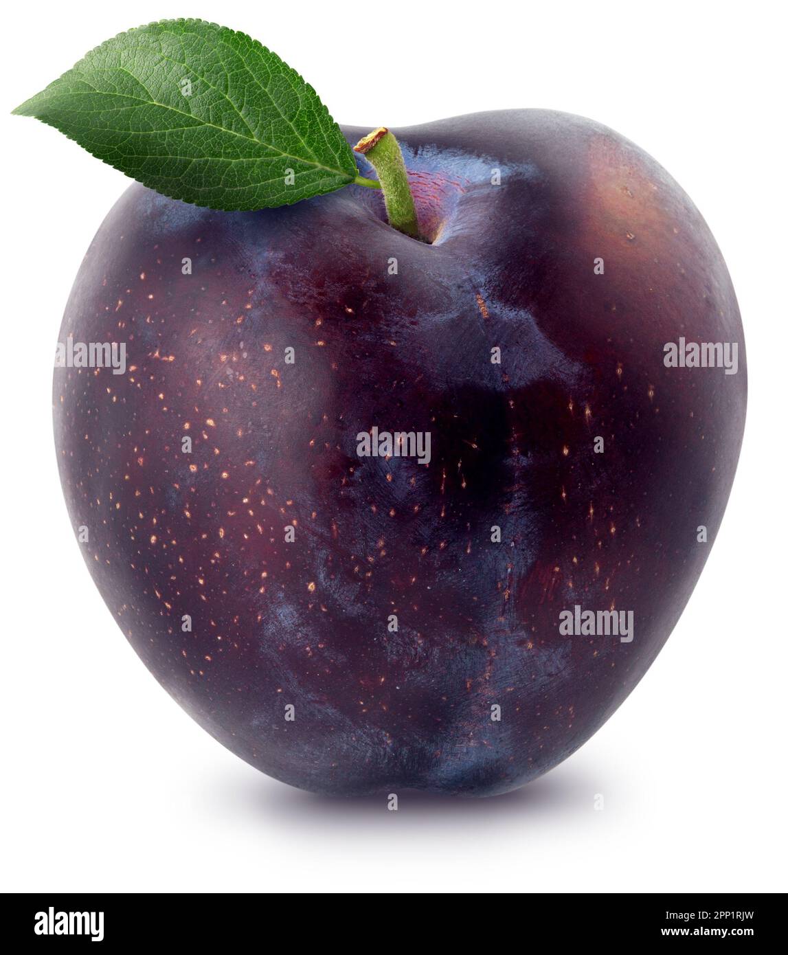 Isolated plum. Single blue plum fruit with leaf isolated on white ...
