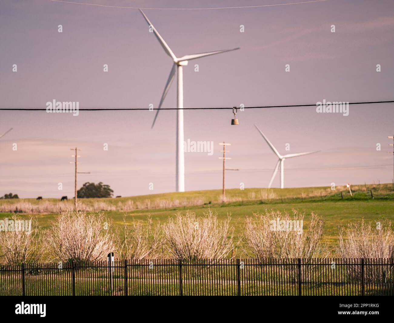 Prevent whipping hi-res stock photography and images - Alamy