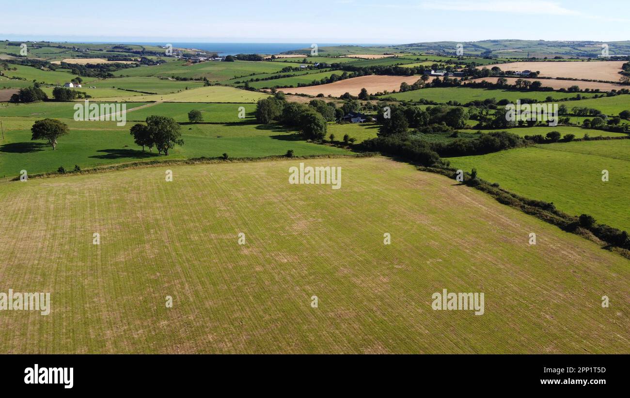 fields separated by shrubs. pastures in the south of Ireland ...