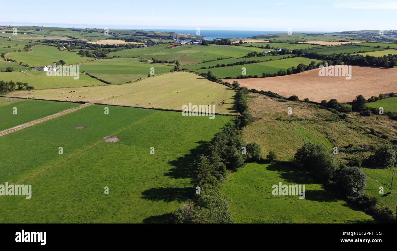 Agricultural landscape. Grass fields and trees. Green grass field with ...