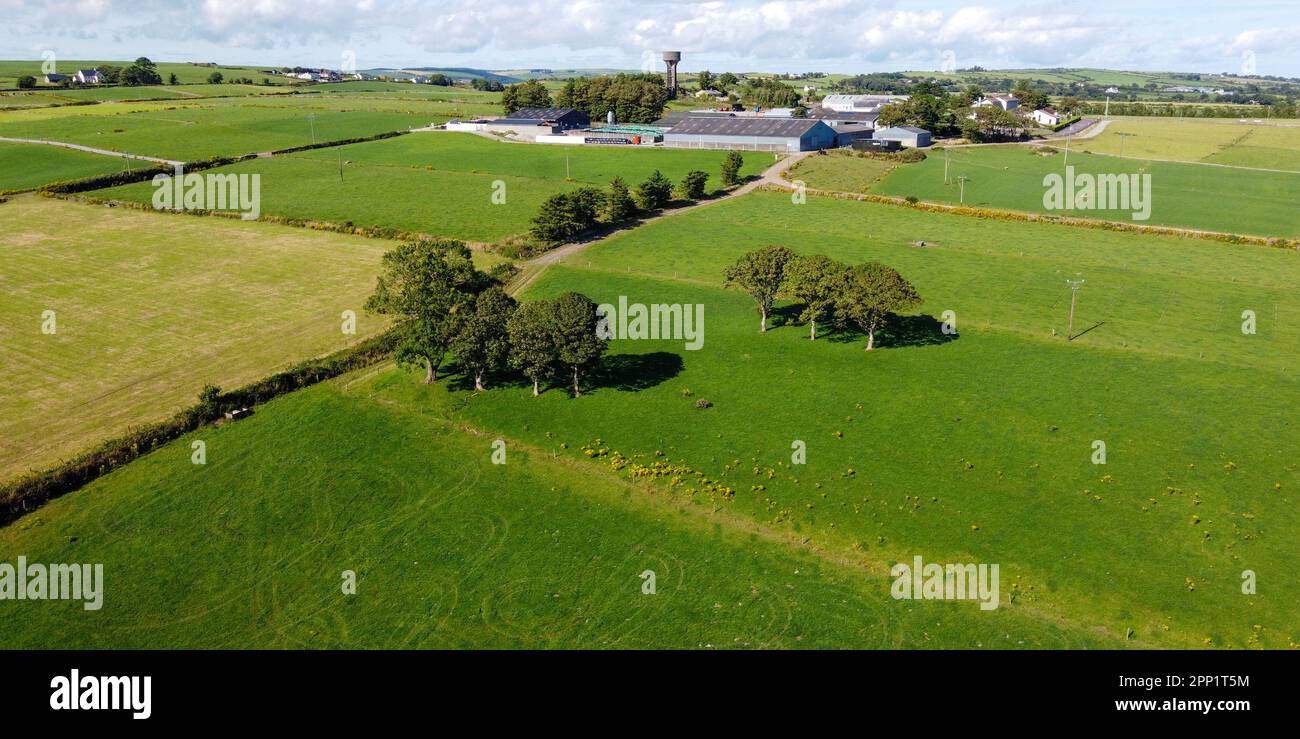 Green fields and trees near a small farm in Ireland in summer, top view ...