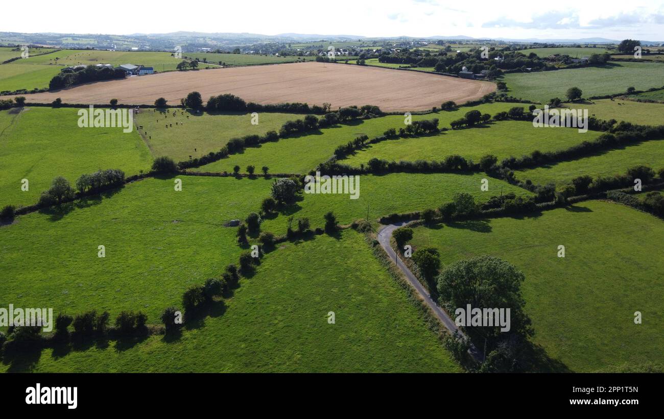 Green fields of Ireland lined with trees, top view. Green Irish ...