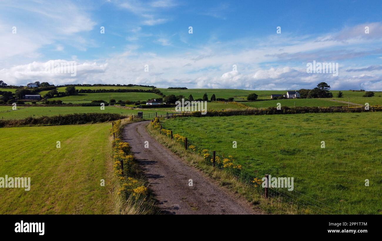 A country road between green fields in Ireland. Blue sky over grass ...