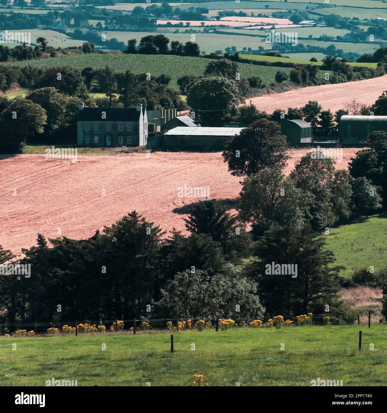 A farmer's dwelling among the fields, Ireland. Irish countryside ...