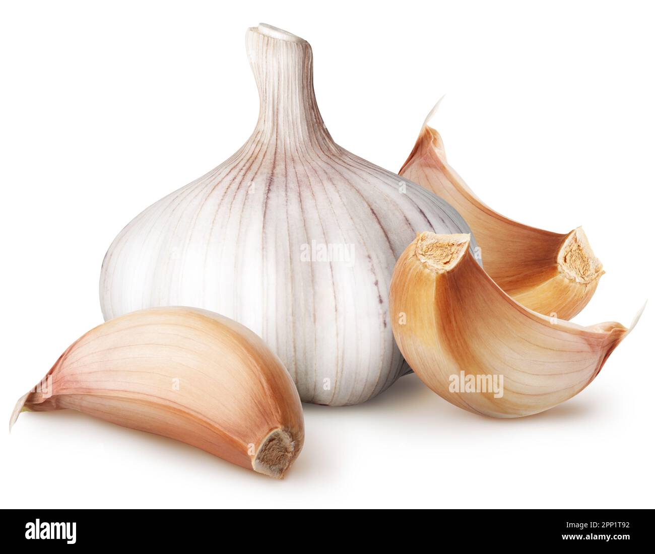 Isolated garlic. Raw garlic with segments isolated on white background ...
