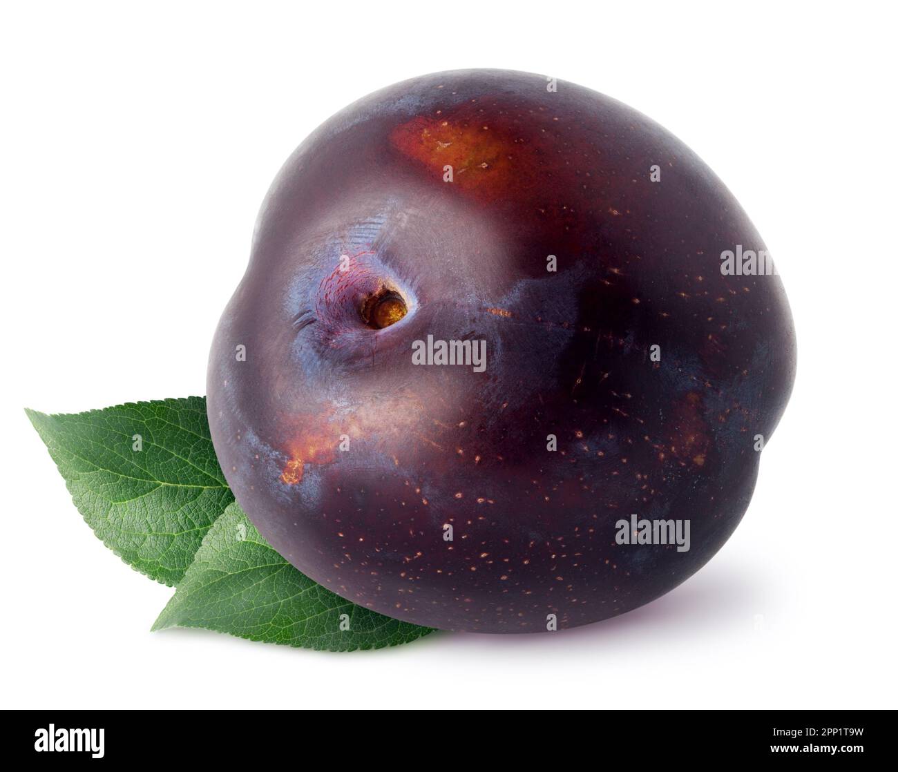 Whole of blue plum fruit with leaves isolated on white background, with ...