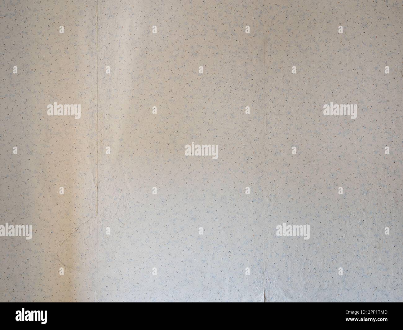 Vintage wallpaper in a bad condition. Old outdated design pattern for ...