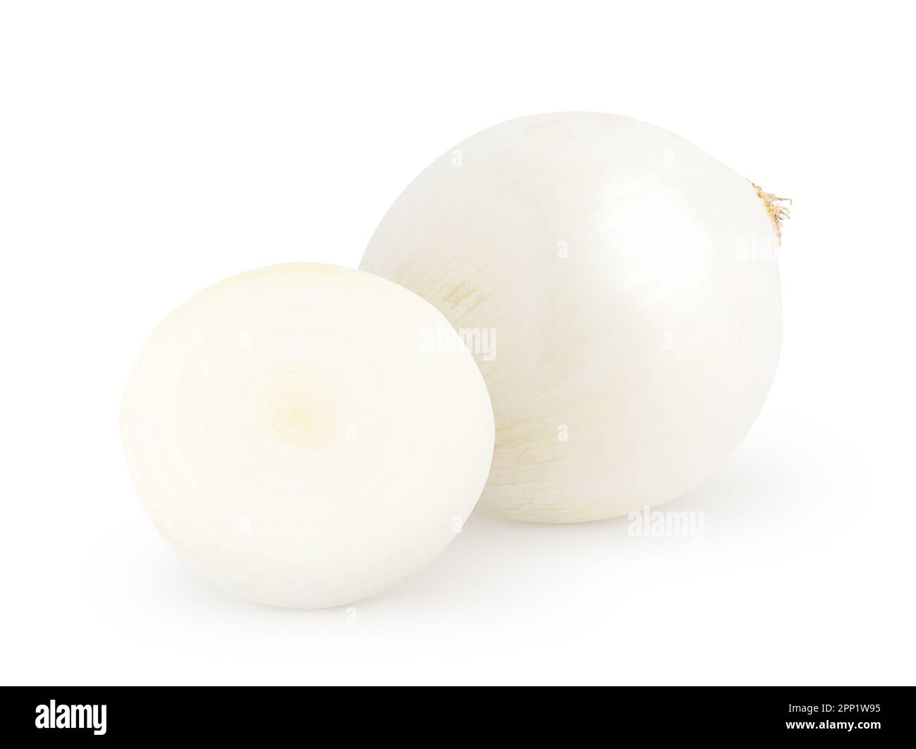 Isolated onions. Whole white onion with half isolated on white ...