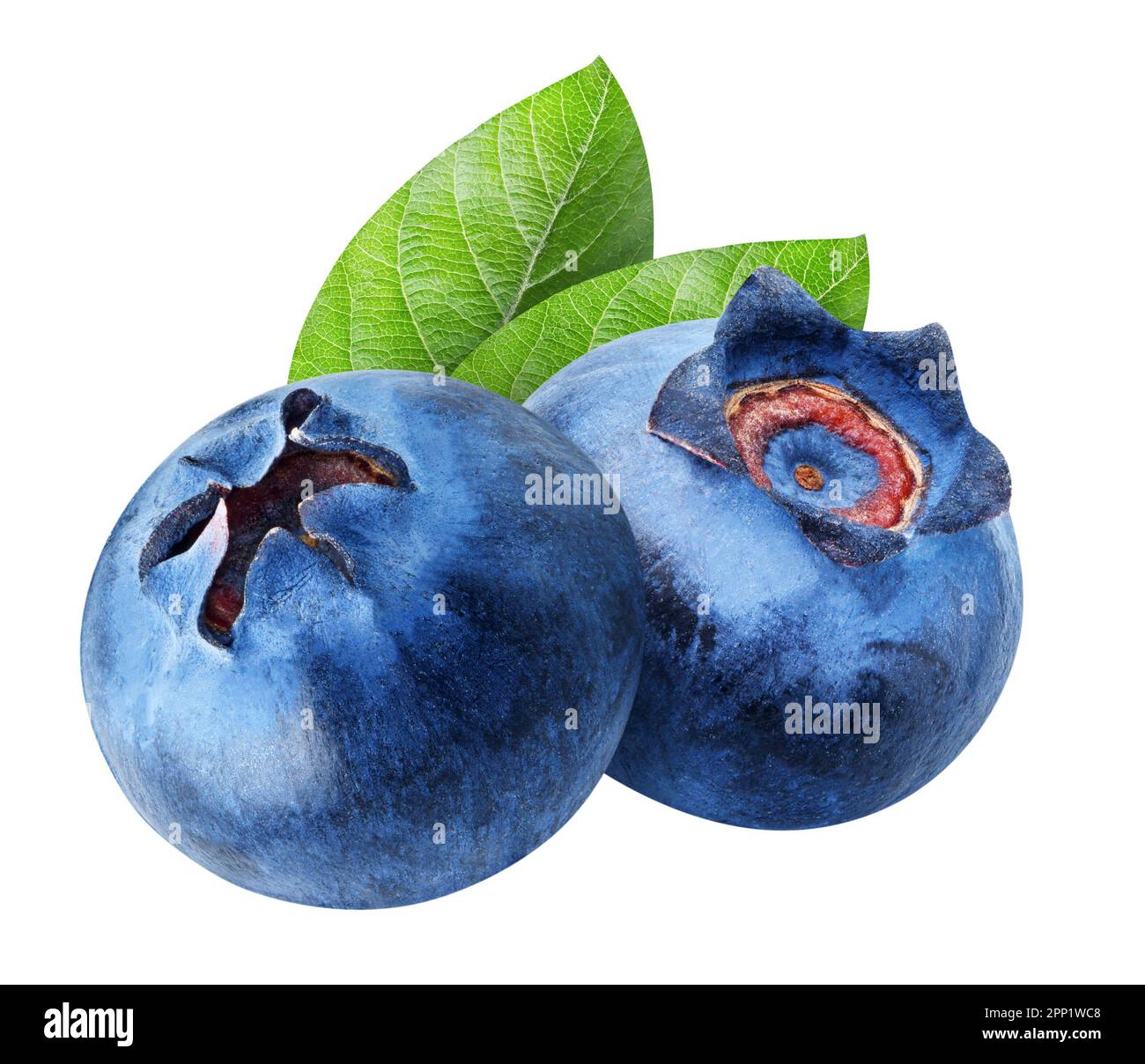 Isolated blueberries. Two sweet blueberry fruits with leaves isolated ...