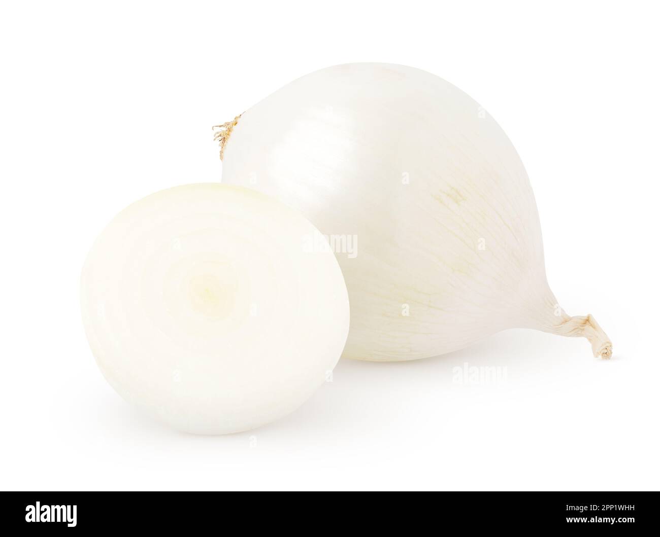 Isolated onions. Whole and half of white onion isolated on white ...