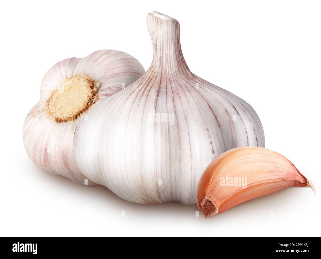 Isolated garlic. Two raw garlic with segment isolated on white ...