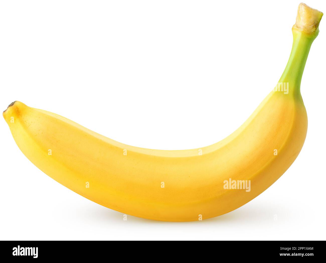 Isolated bananas. Single banana fruit isolated on white background with ...