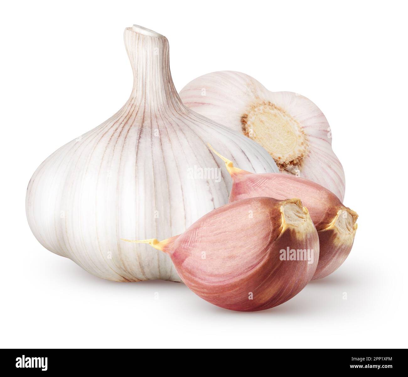 Isolated garlic. Two raw garlic with segments isolated on white ...