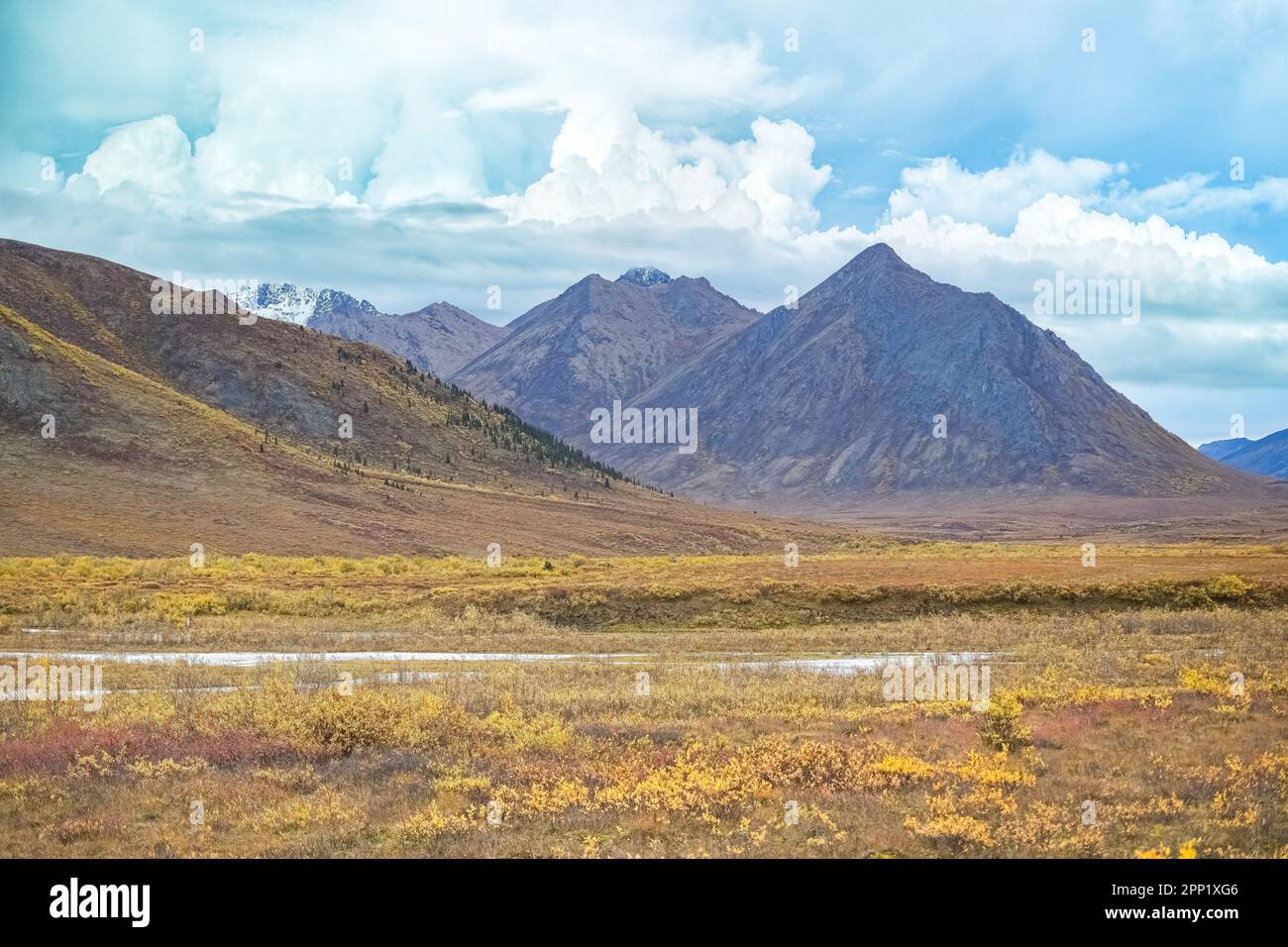 Canada, Yukon, view of the tundra in autumn, with mountains in ...