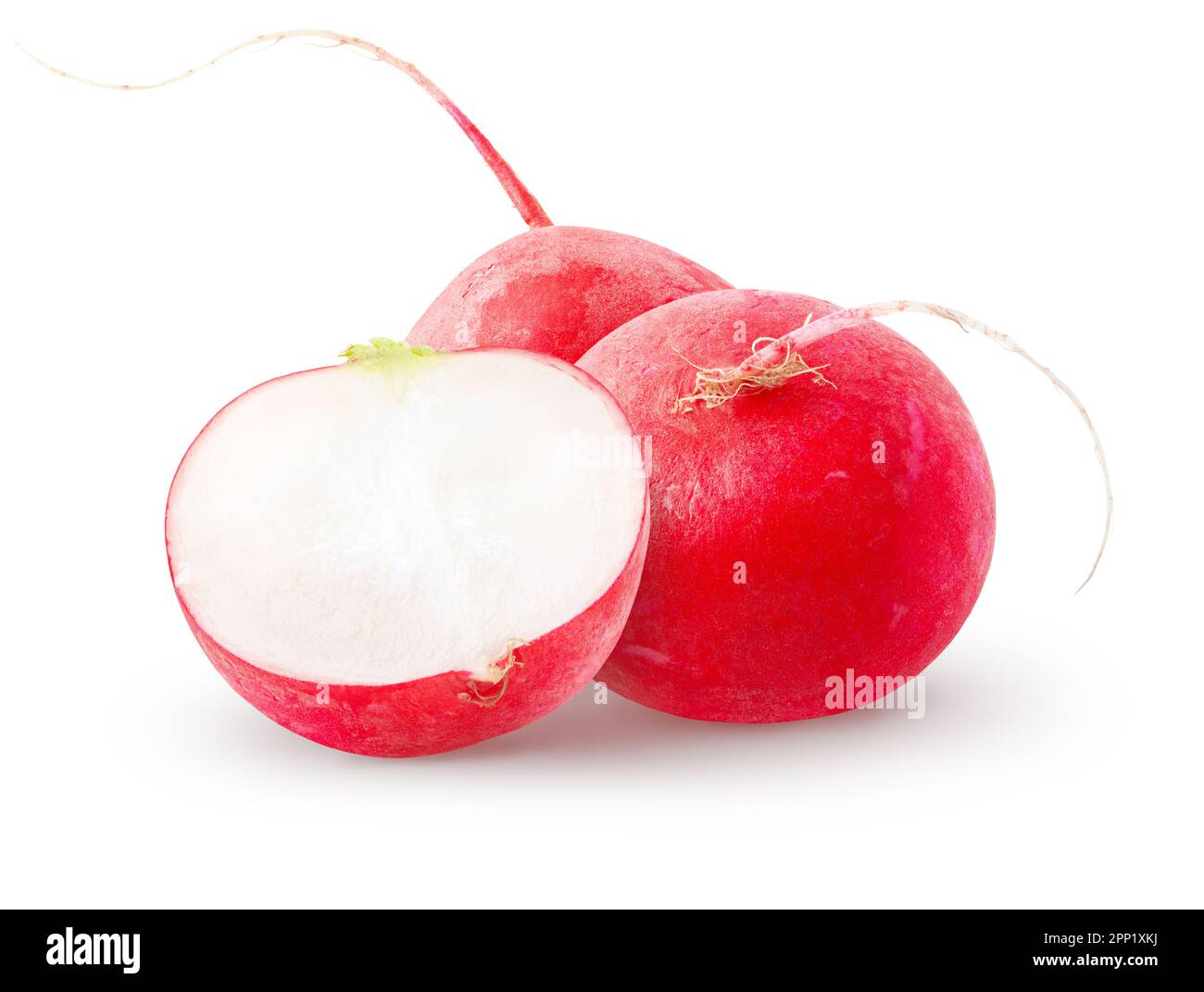Isolated radishes. Raw two radish vegetables with half isolated on ...