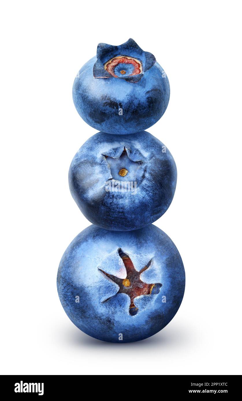 Isolated beries. Three blueberry berry fruits on top of each other ...