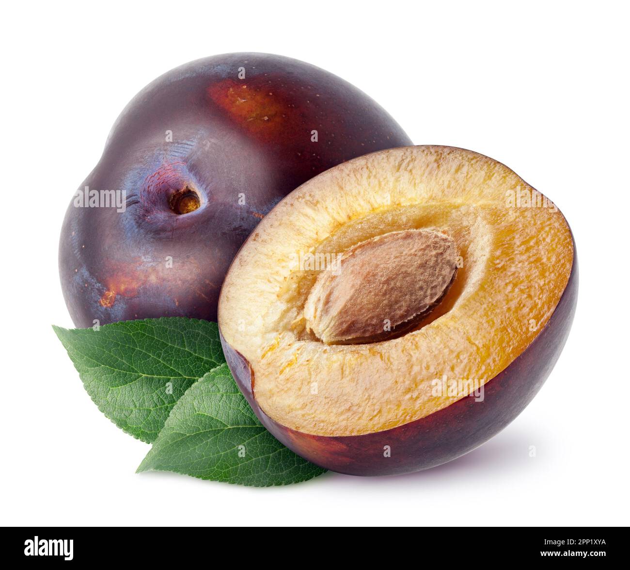 One and a half of blue plum fruit with leaves isolated on white ...