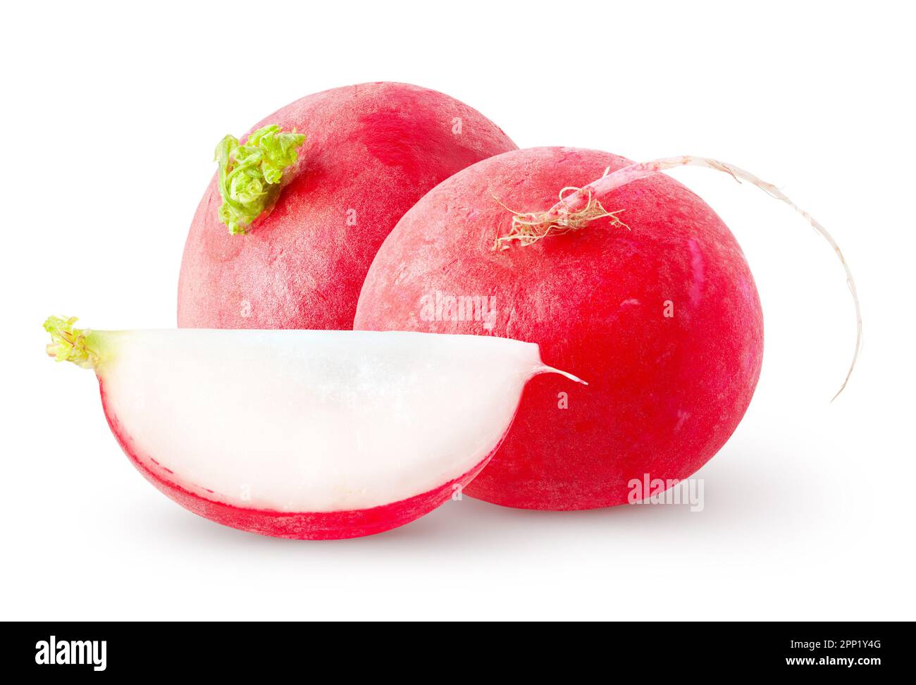 Isolated radishes. Raw two radish vegetables with piece isolated on ...