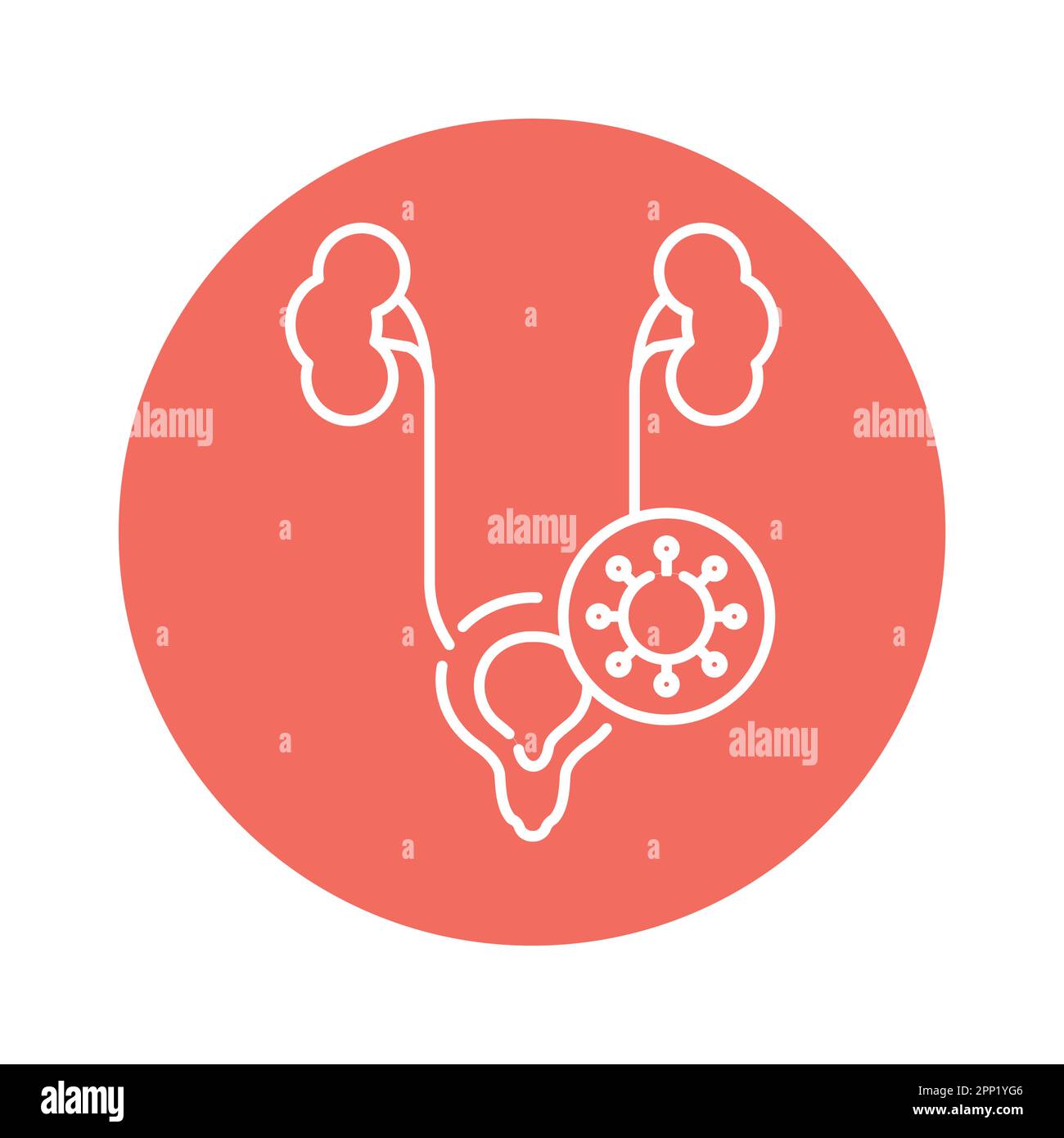 Genitourinary system virus disease color line icon. Pictogram for web ...