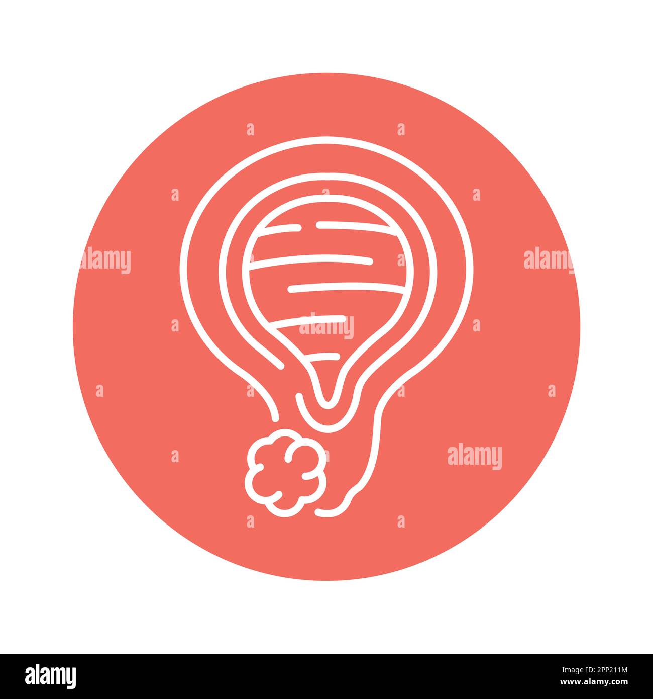 Male genitourinary system color line icon. Pictogram for web page ...