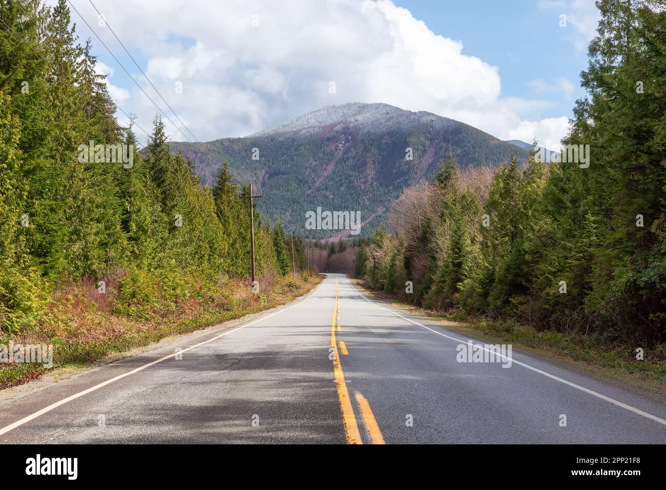 Scenic Road with green Trees and Mountains in Background Stock Photo ...