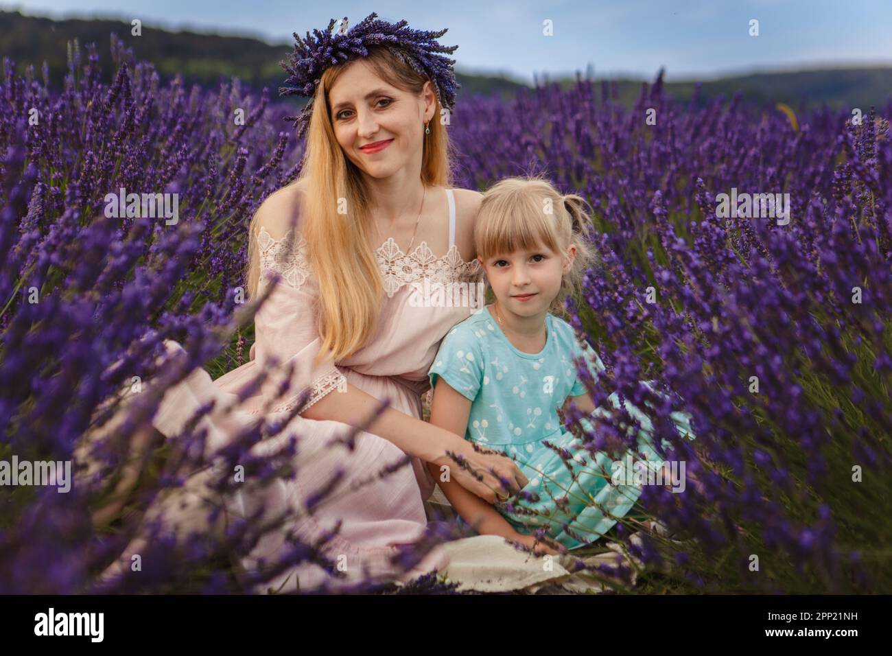 mom hugs her daughter. family picnic on a lavender field Stock Photo - Alamy