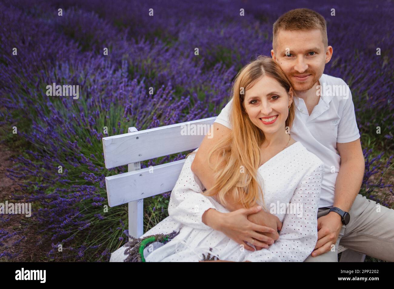 There are two lovers sitting on a bench on a lavender field holding ...