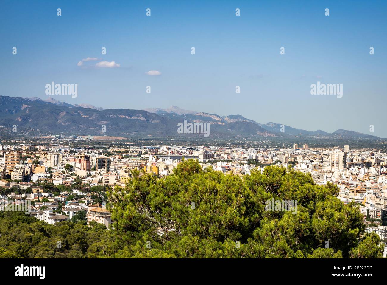 Panoramic Cityscape of Palma, Mallorca from Bellver Castle Rooftop ...