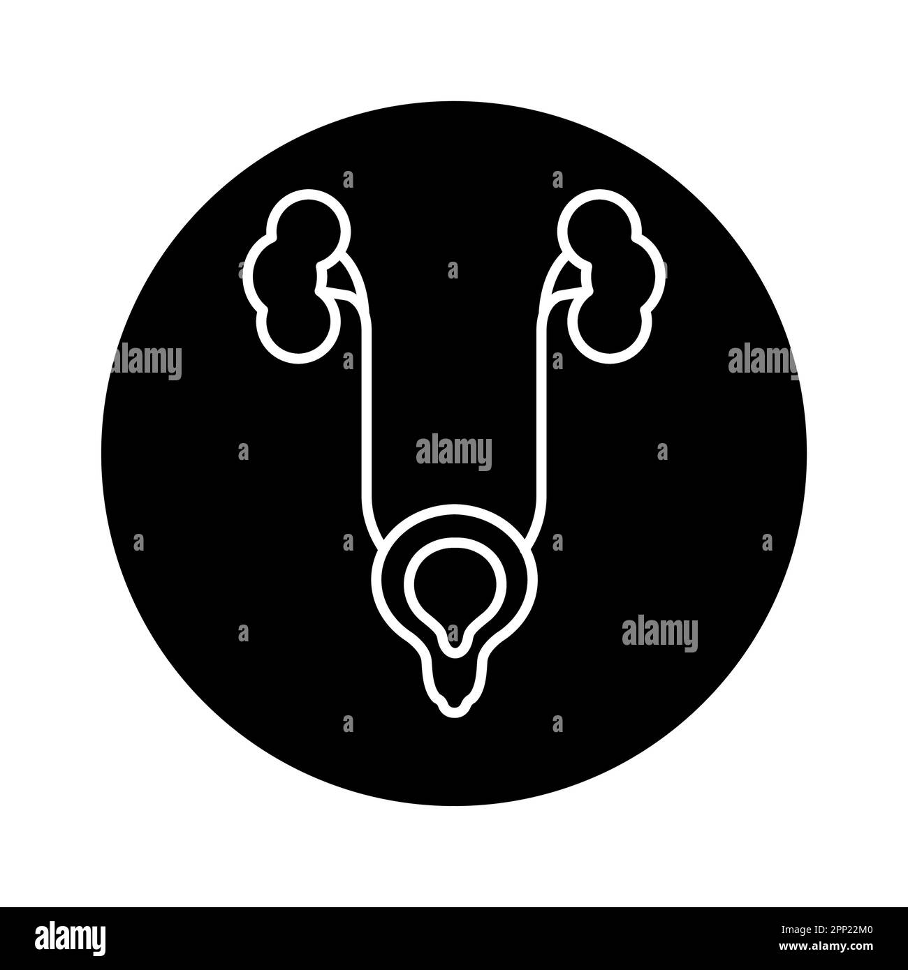 Male genitourinary system color line icon. Pictogram for web page ...